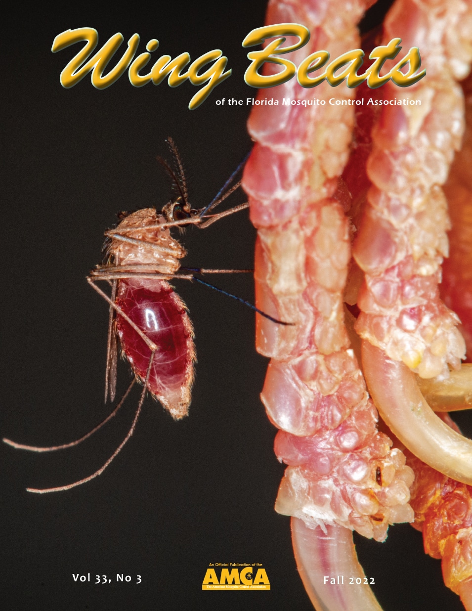 Florida Mosquito Control Association (FMCA) – The Florida Mosquito ...